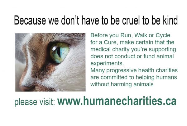 Ditch Dissection: Non-Animal Alternative Resources in Education (K through University) – Animal ...